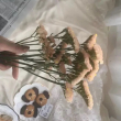 怎么登校园网【扬州大学吧】_百度贴吧