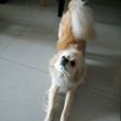 friendly的比较级是friendlier还是more friendly，如果两者一样，他们有区别么？还是新旧版本的用法_百度知道